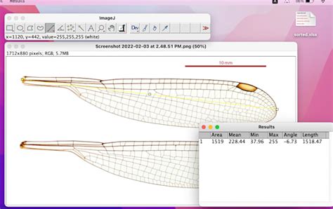 Complete Data Analysis Using Imagej Software By Tangigul Fiverr