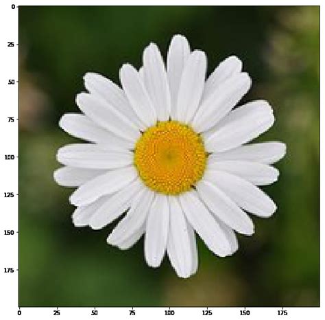 6 Perona Malik Anisotropic Diffusion Of A Picture Of A Flower κ 0 3 Download Scientific