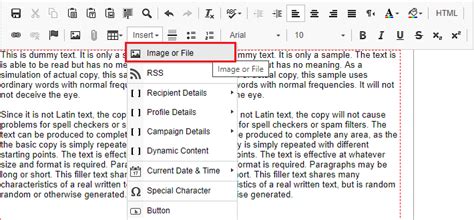 How To Edit And Resize Images In Email Campaigns Concep