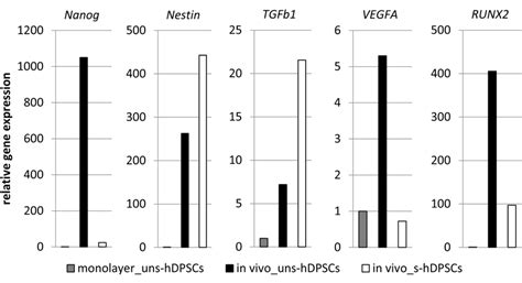 21 Preliminary Gene Expression Analysis Of Cell Seeded Samples Grown