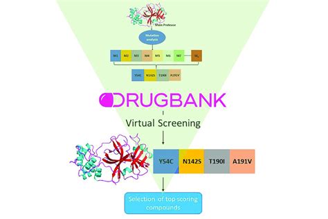 Workflow Of The Virtual Screening Download Scientific Diagram