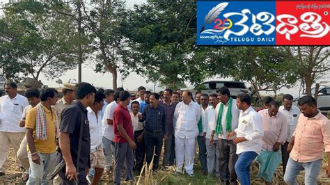 Mla దెబ్బతిన్న పంటలను పరిశీలించిన ఎమ్మెల్యే Netidhathri