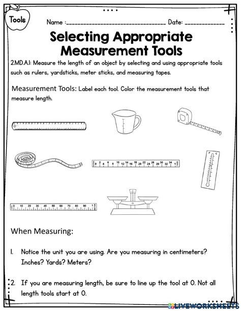 Measurement Test 1 Liveworksheets 2319204