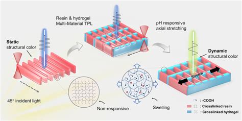 Nanograting Based Dynamic Structural Colors Using Heterogeneous Materials Pmc