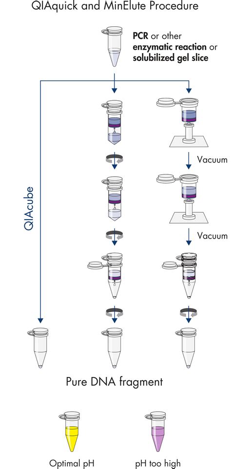 Qiaamp Minelute Virus Spin Kit