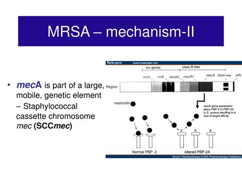 Ppt Lecture 3 Mrsa Methicillin Resistant S Aureus Powerpoint Presentation Id 437653