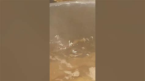 Cooking Tutorial Part 2 Youtube Cooking Tutorial Part 2 Youtube