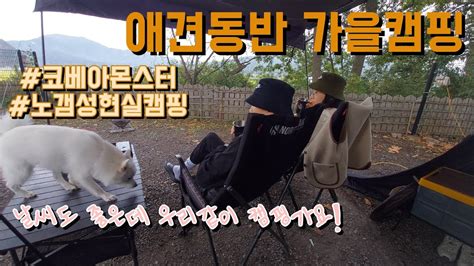 가을캠핑 L 애견동반캠핑 L부부캠핑 L 노갬성캠핑 L 강아지와현실캠핑 Youtube