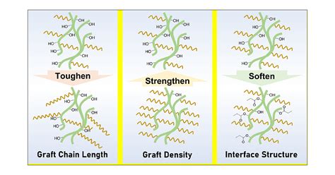 Effects Of Grafting Structure On 1d One Component Composites An Example Of Surface Grafted