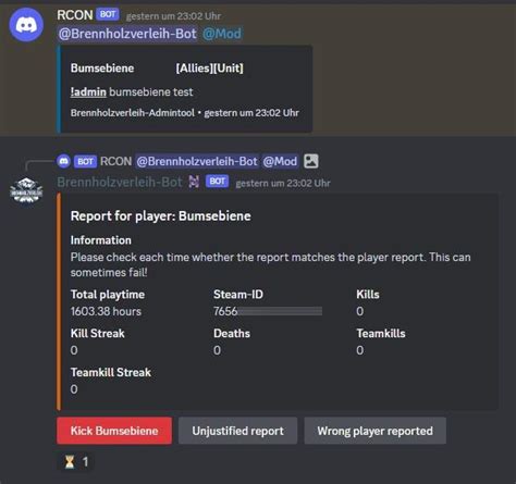 GitHub Bumseb Ene Discord Reports