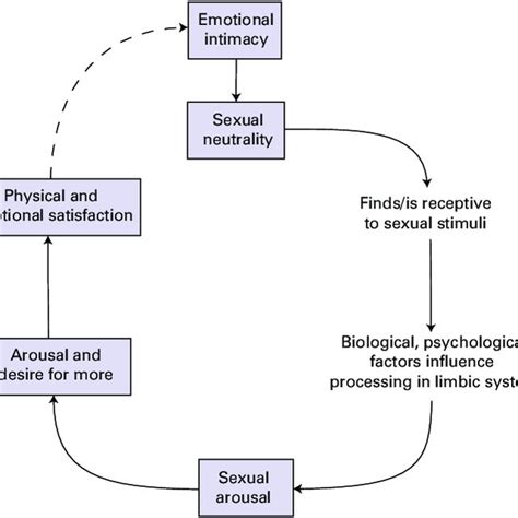 The New Model Posits The Sexual Response Cycle Which Comprises Download Scientific Diagram