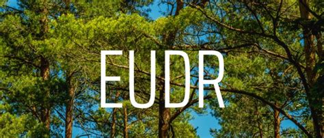 Eudr Policy Dialogue Heats Up Global Wood Markets Info