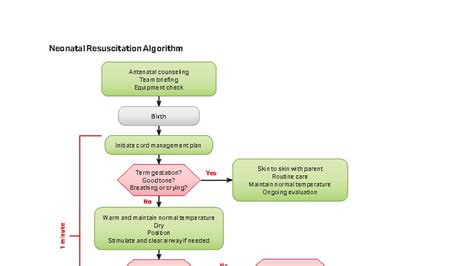 Aha 2025 Pediatric And Adult Resuscitation Algorithms Guide Studocu