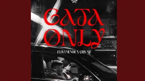 Floyy Menor And Cris Mj Gata Only Lyrics English Gigwise
