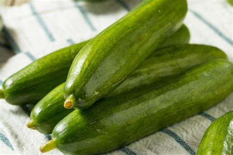 Persian Cucumber Growing Differences And Benefits Happiness Cucumber