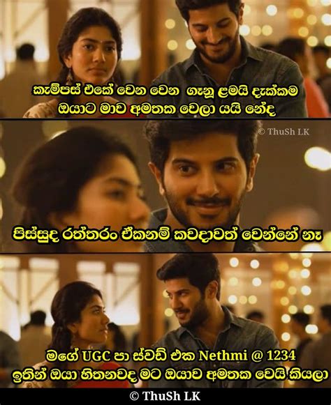 Thush වෙන කෙනෙක් නෑ තවත් මේ හිතේ රත්තරං 🥺 ️ Facebook