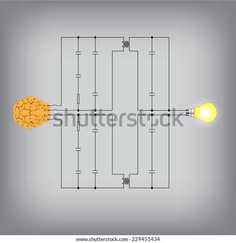 Schematic Diagram Brain Stock Vector Royalty Free Shutterstock