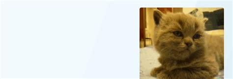 Kostenlose S Online Lustige S Zum Download Canva