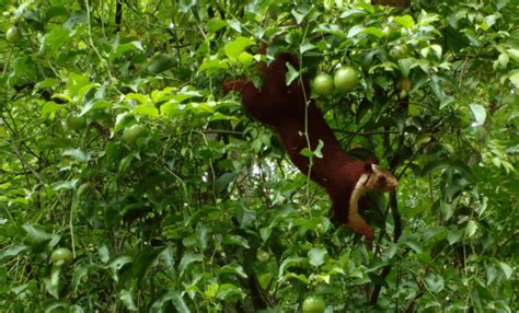 CNC Threading Insert Partial Vs Full Form Cadem