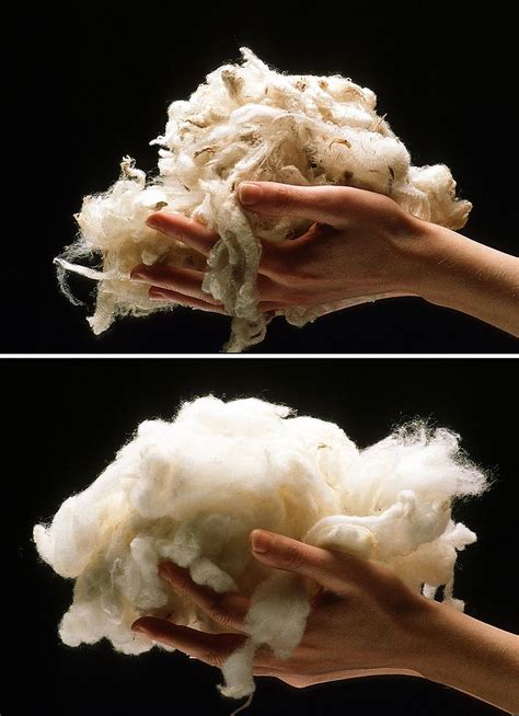 Difference Between Fleece And Wool Meanings In Different Contexts And