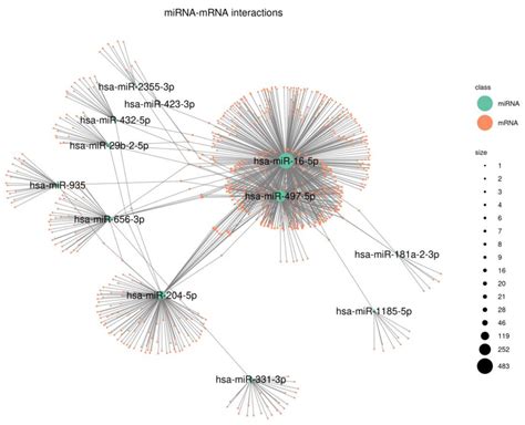 Mrnamirna Interaction Network Representation Light Green Nodes Download Scientific Diagram