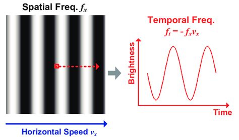 The Relationship Among Spatial Frequency F X Temporal Frequency F T