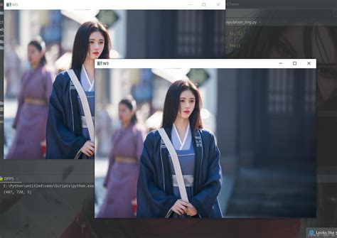 Python 计算机视觉（五）—— Opencv 进行图像几何变换opencv实现图像的水平、垂直以及对角镜像变换在一个画布展示 Csdn博客
