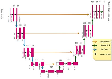 U Net Architecture Diagram Download Scientific Diagram