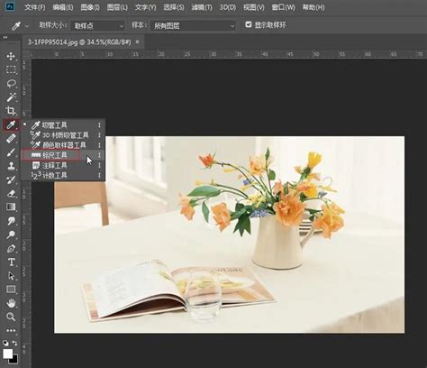 什么软件可以对照片进行某一比例尺下的测量和标注？ 知乎
