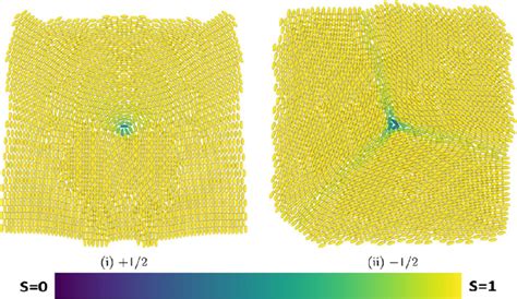 Scalar Order Parameter For Two Synthetic Assemblies I 12 Defect Download Scientific