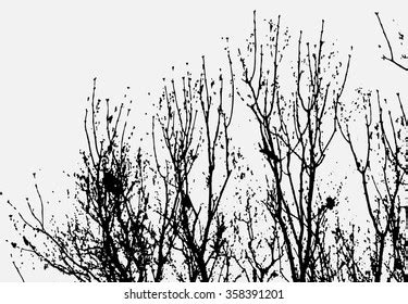 Tree Branch Silhouette Vector Tree Branch Stock Vector Royalty Free Shutterstock