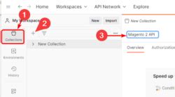 How To Test Magento 2 API In Postman Example