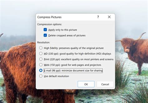 How To Reduce Your PowerPoint PPT File Size Way Down Video Envato Tuts