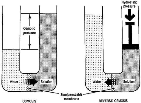 Meaning Of Reverse Osmosis And Its Historical Background WealthInWastes