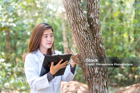 과학자들은 숲에서 식물 종을 연구하고 있습니다 숲에서 돋보기로 잎을 바라보는 여성 과학자 숲의 과학자 생태학자는 식물의 샘플을 채취합니다 나무에 대한 스톡 사진 및 기타