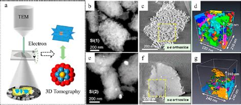 A Schematic Diagram Of 3d Electron Tomography Structure Download Scientific Diagram