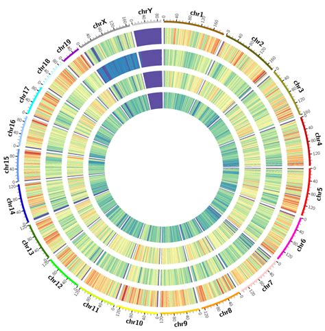 Github Somnvs Circleplot Two Methods For Circleplot