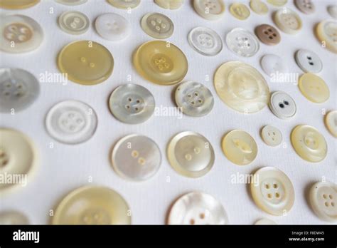 Color Grouped Button Collection On White Background Stock Photo Alamy