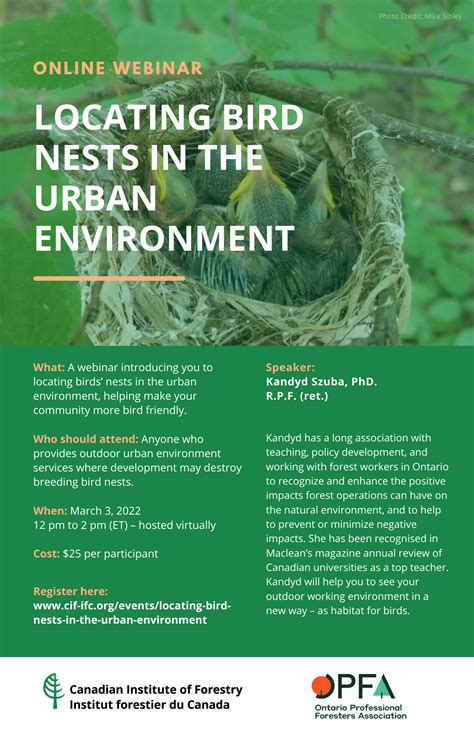 Locating Bird Nests In The Urban Environment Cif Ifc