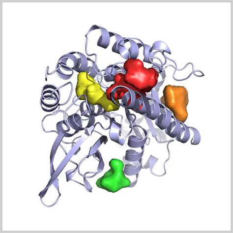 分子动力学 知乎