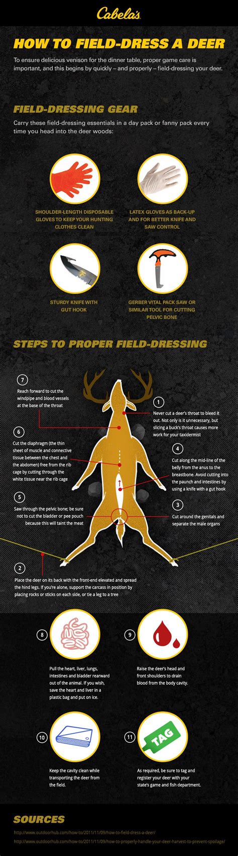 Field Dressing A Deer Diagram An Artists Guide To Anatomy Ryan