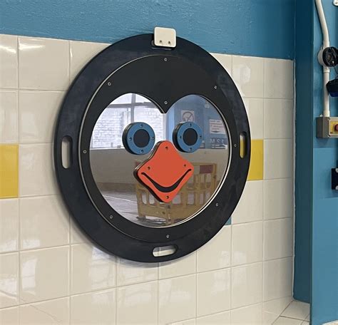 Weighted Mirror Hippo Leisure