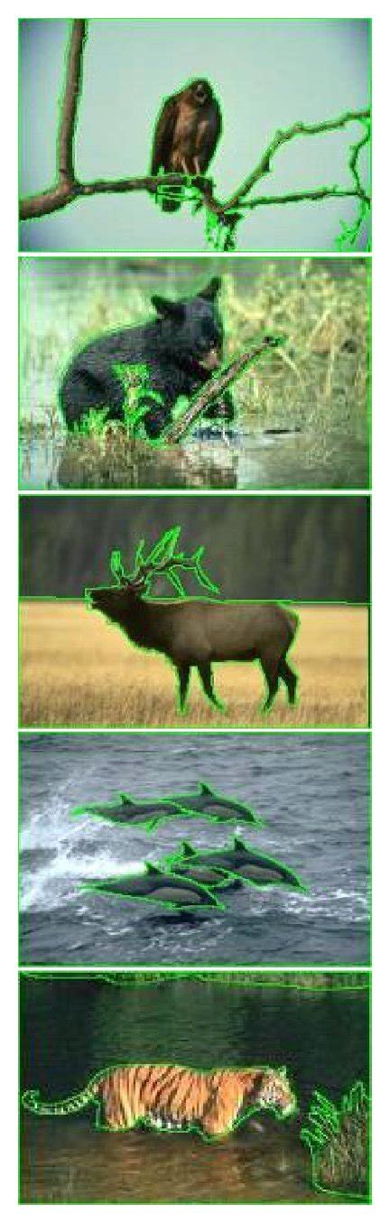 Image Segmentation Results Comparison Maps Download Scientific Diagram