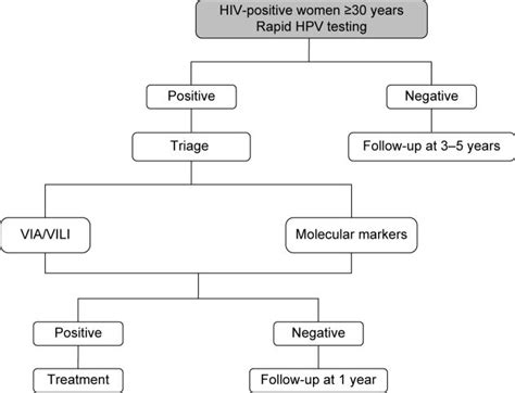 Decision Making Algorithm For Hpv Based Screening Download Scientific Diagram