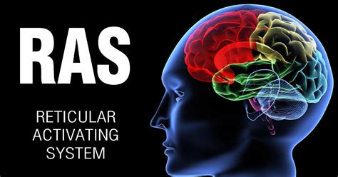 Above Average Mindset Awakening Your Reticular Activation System R A S