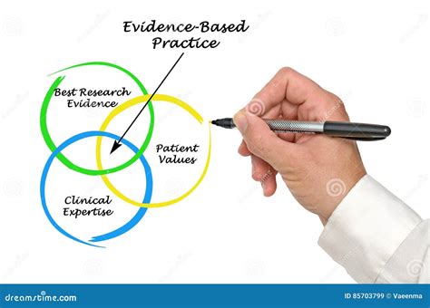 Diagram Of EBP Stock Image Image Of Medial Virtual 85703799
