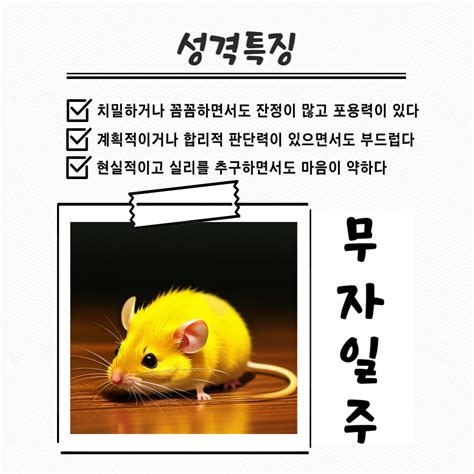 사주연 무자 戊子 일주 남자 여자 장점 단점 성격 특징 간단하게 정리한 일주론 카드