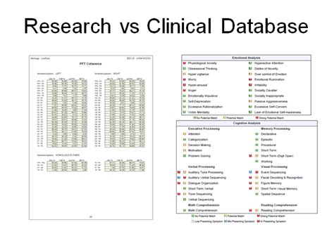 Types Of Databases Newmindacademy