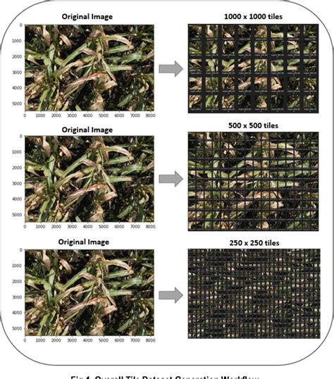 Figure 1 From Deep Learning Based Corn Disease Tracking Using Rtk Geolocated Uas Imagery