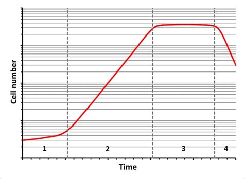 Cell Density Measurement By Od600 Method